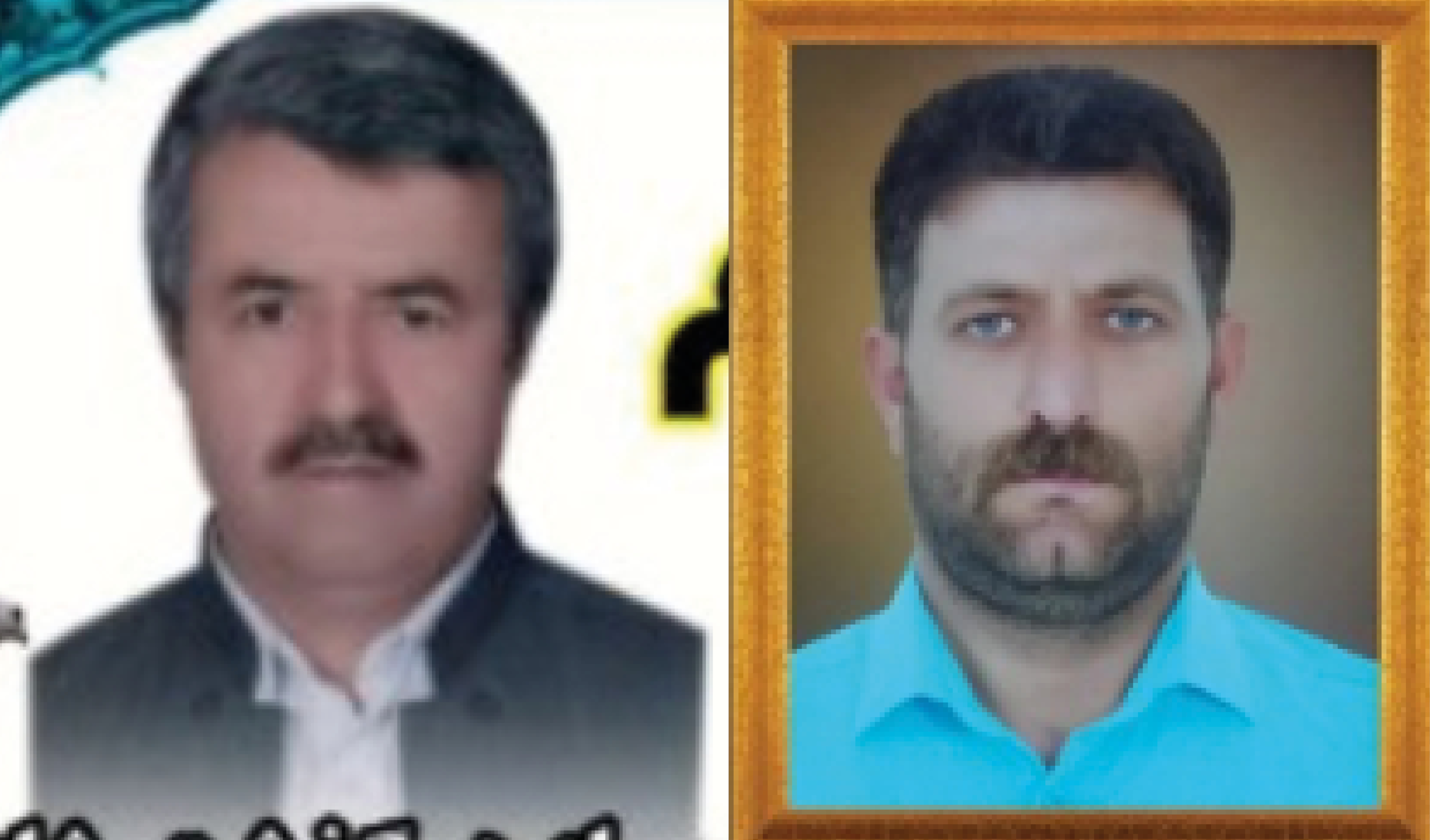 Iran Human Rights | Article: Borhan Ansari and Asad Farhang Executed in ...