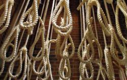 Iran Human Rights | Article: Executions of Kerman: 10 Prisoners hanged ...